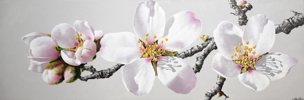 FLOR-DE-ALMENDRO-mallorca - Hotel Rural Monnaber Nou Mallorca